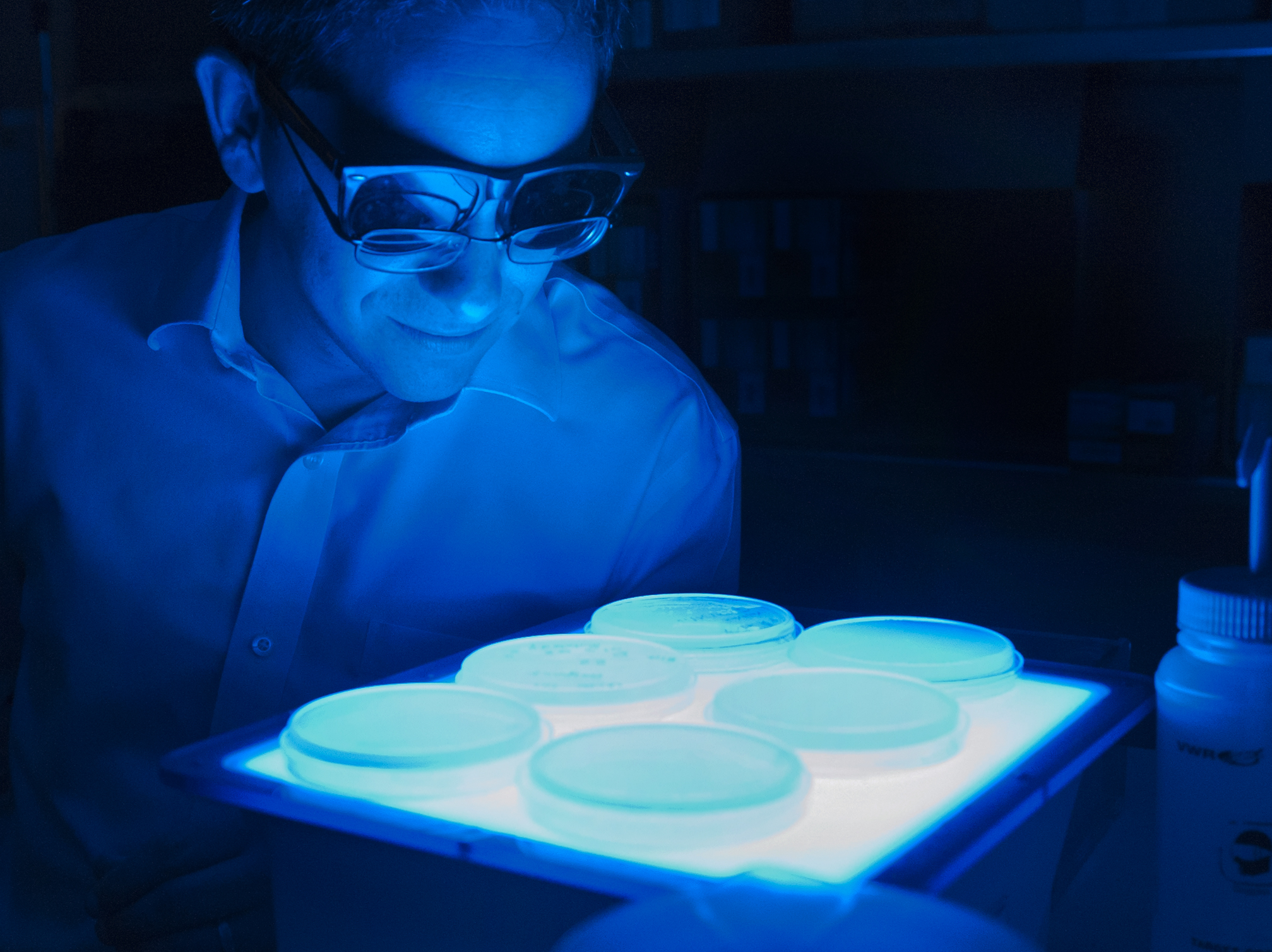 Glowee : une lumière d’origine biologique pour éclairer les villes ...