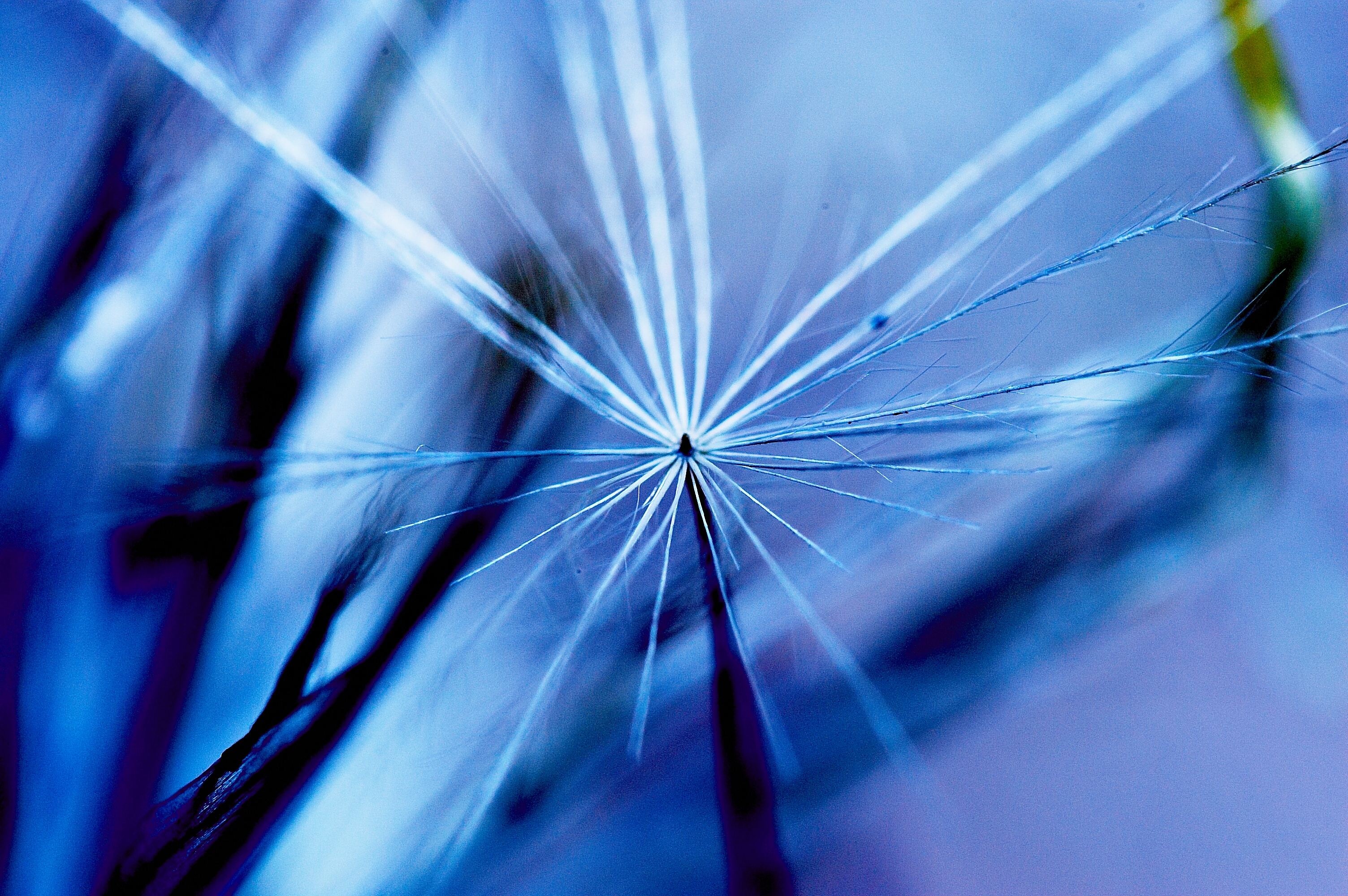 La phrase du jour : “éviter autant que possible d’utiliser les mots ...